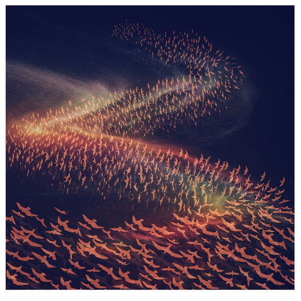 NORTHERN FLIGHT - NATASHA CHAMBERS